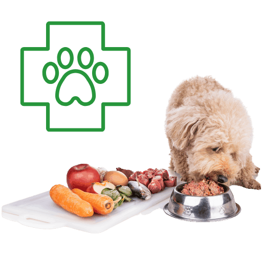 Vendita online di prodotti per animali domestici | LALLOHALLO