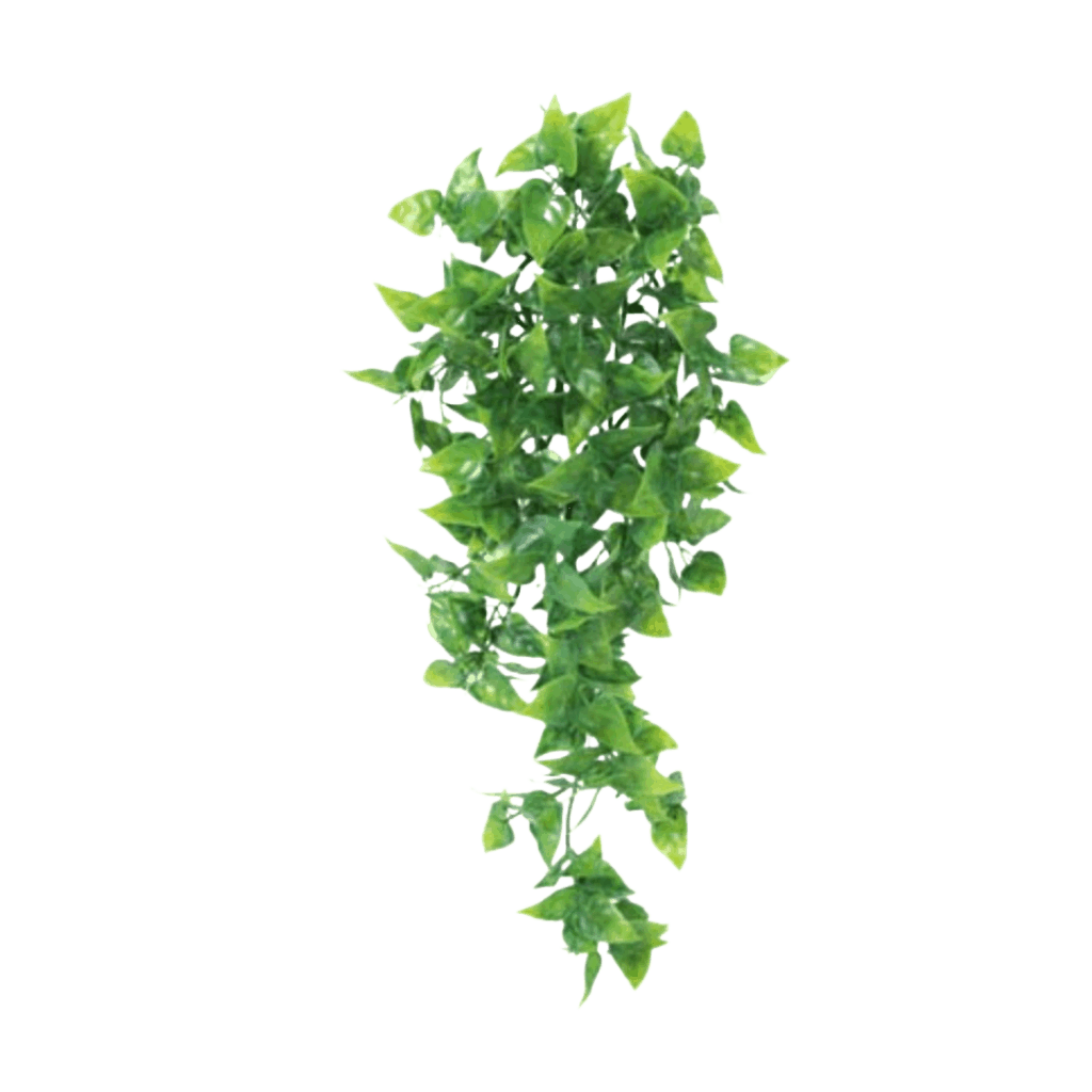 Pianta per terrari - Trixie